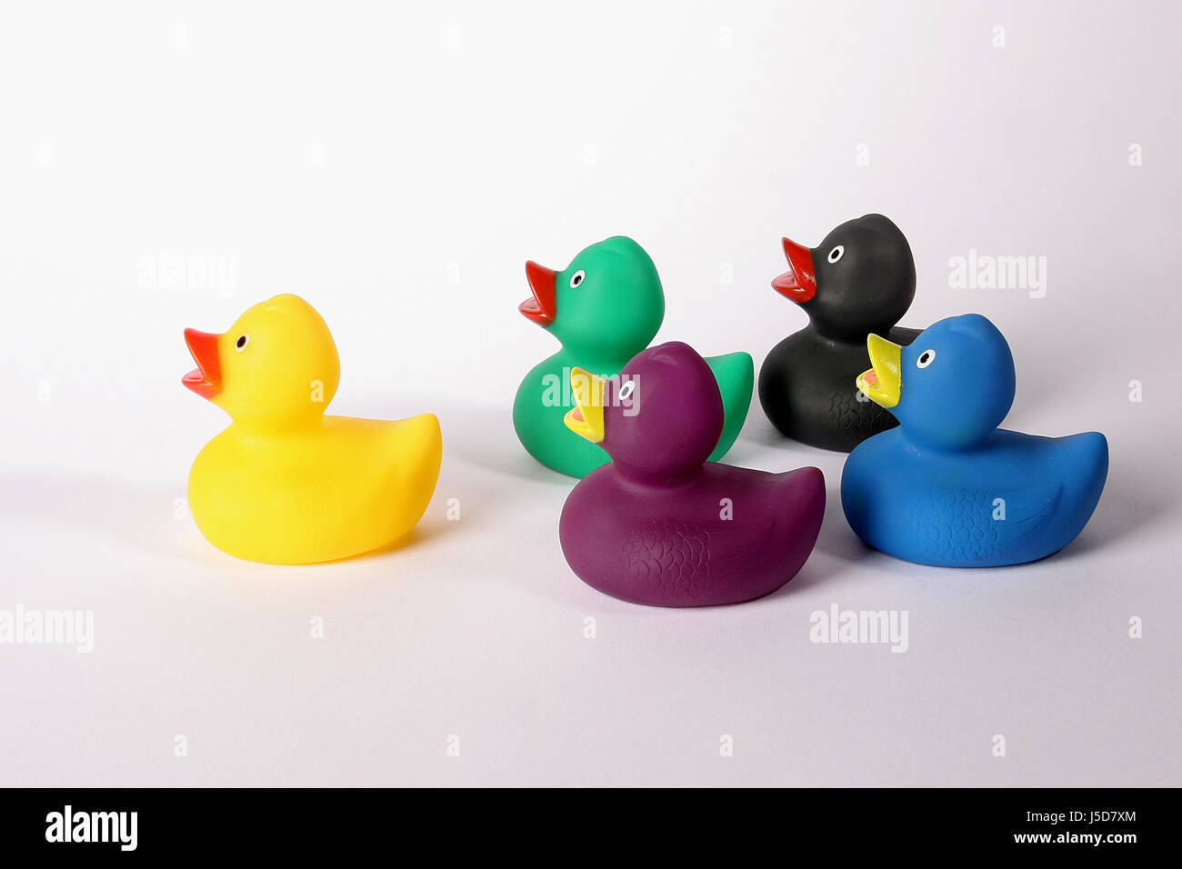 Violet ducks hi-res stock photography and images - Alamy