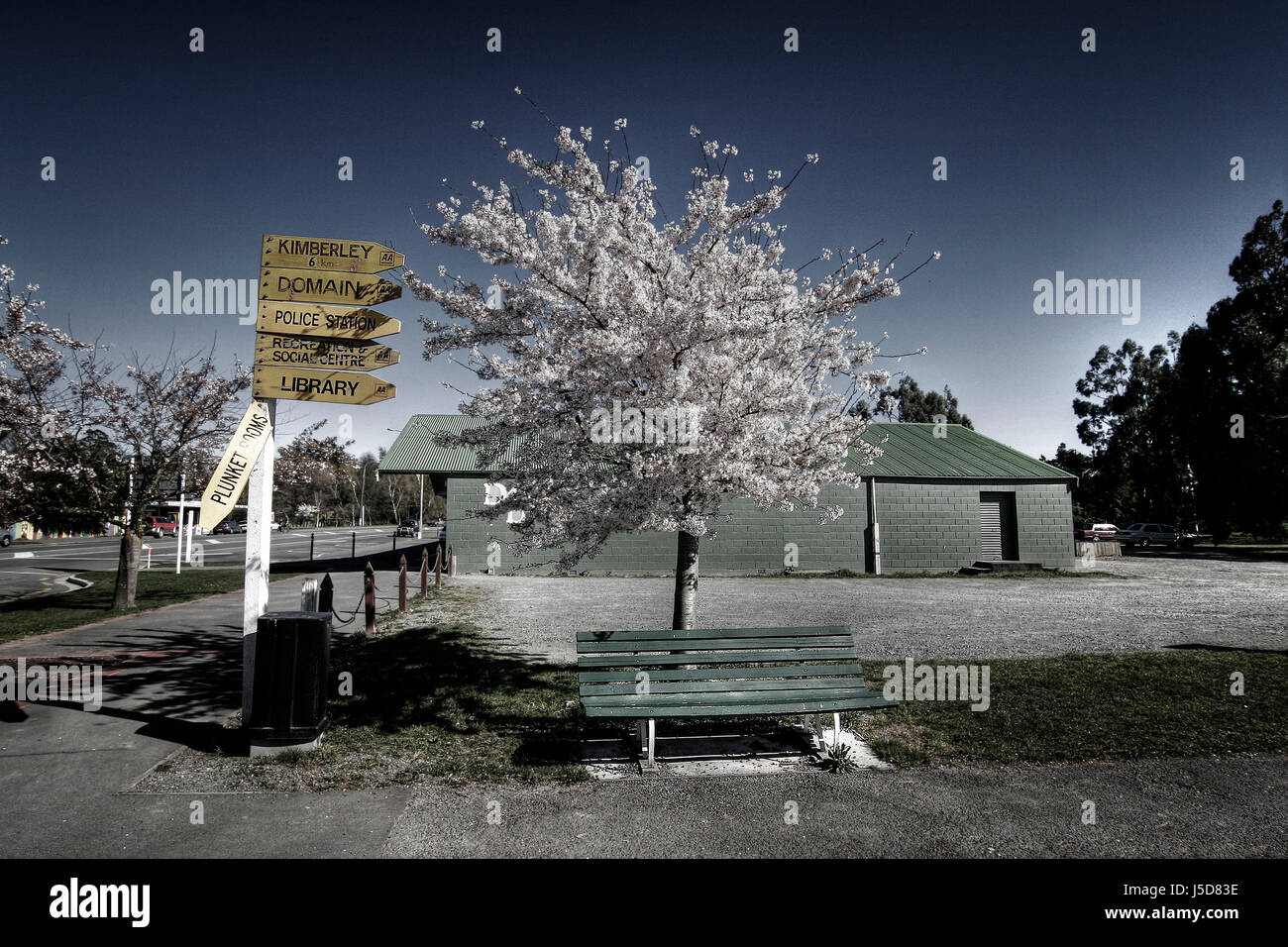 new zealand direction irresolute undecided shield road signs science ...