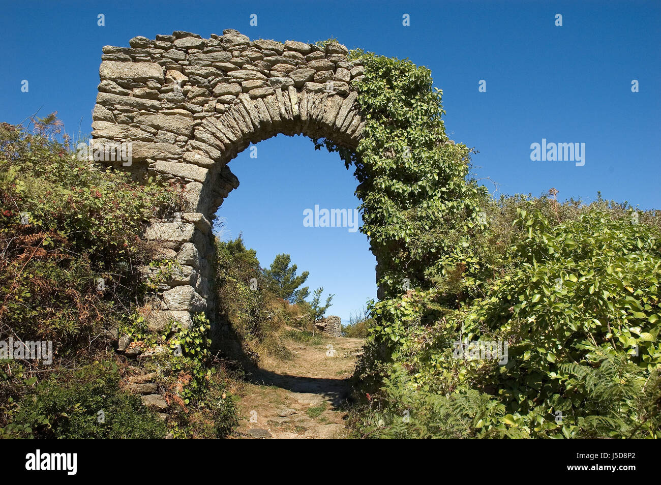 plant stone arc goal passage gate archgway gantry entrance door wall ...