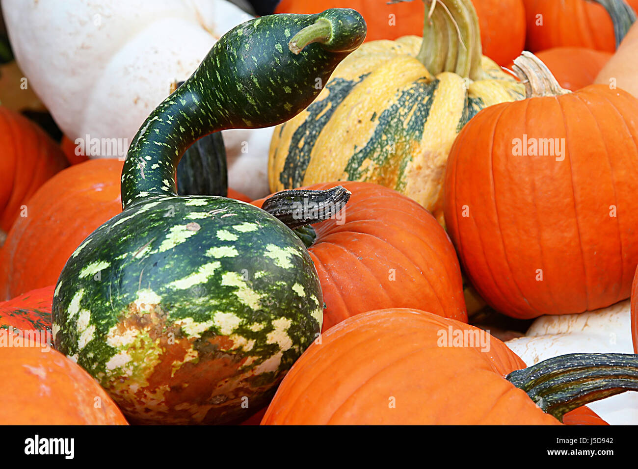 Tube deformed hi-res stock photography and images - Alamy
