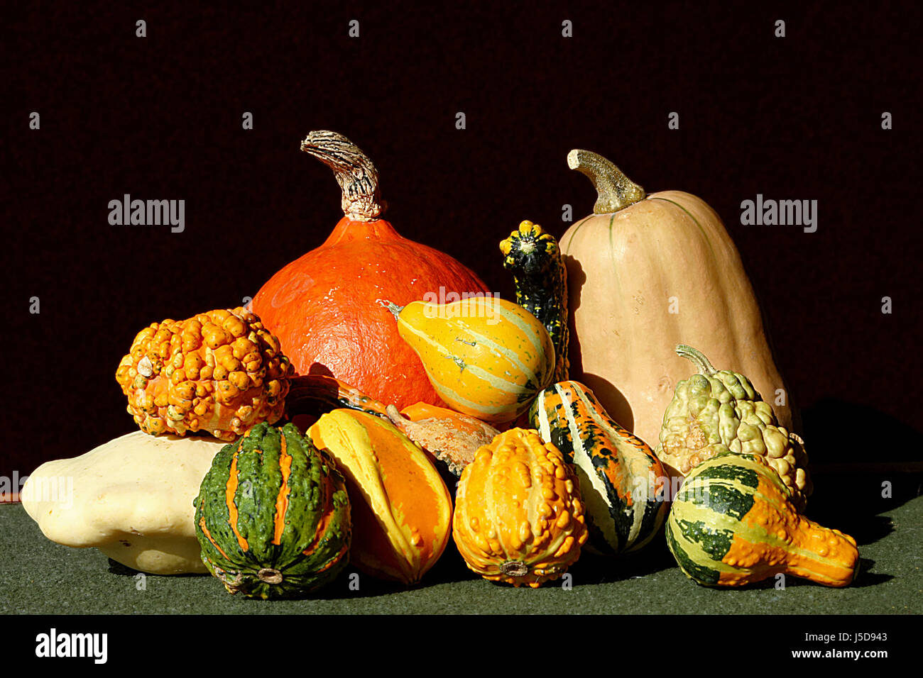 a dozen pumpkins in sunlight Stock Photo - Alamy