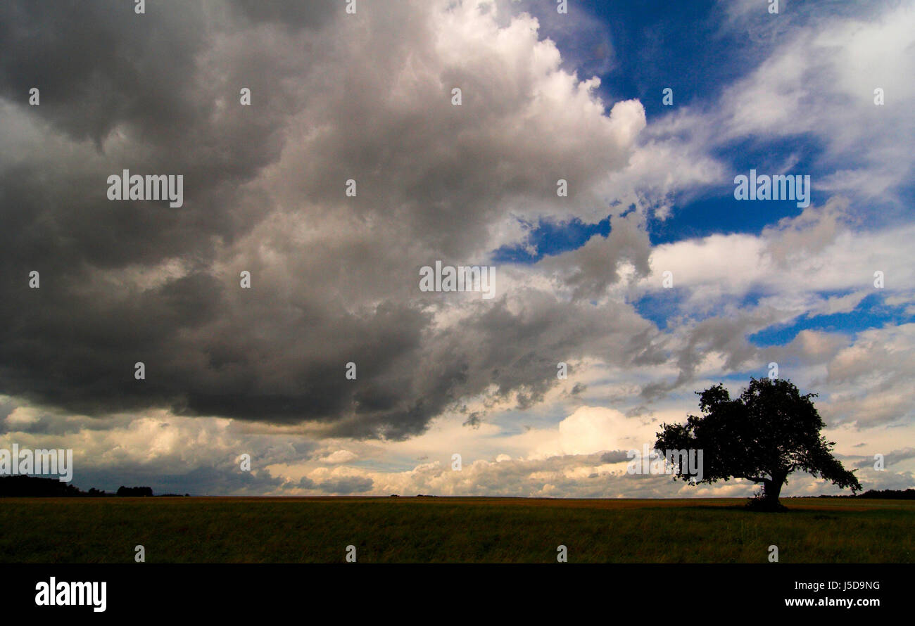 corridor dramatic art dramatic frowningly menacing fruit-tree threat ...