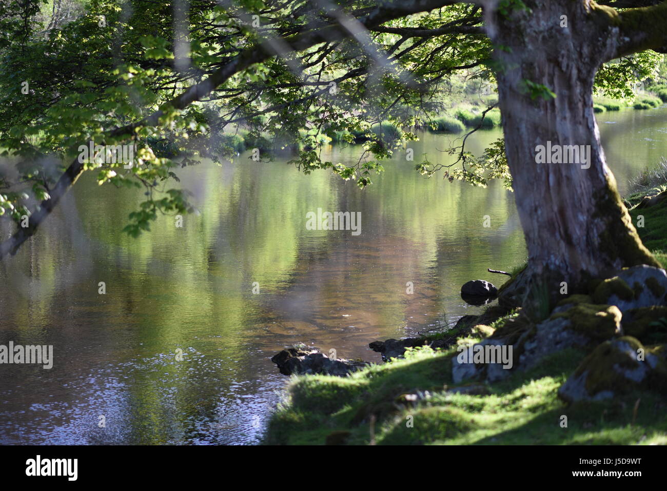 Summer River Reflections on the River Wye in Wales Stock Photo - Alamy