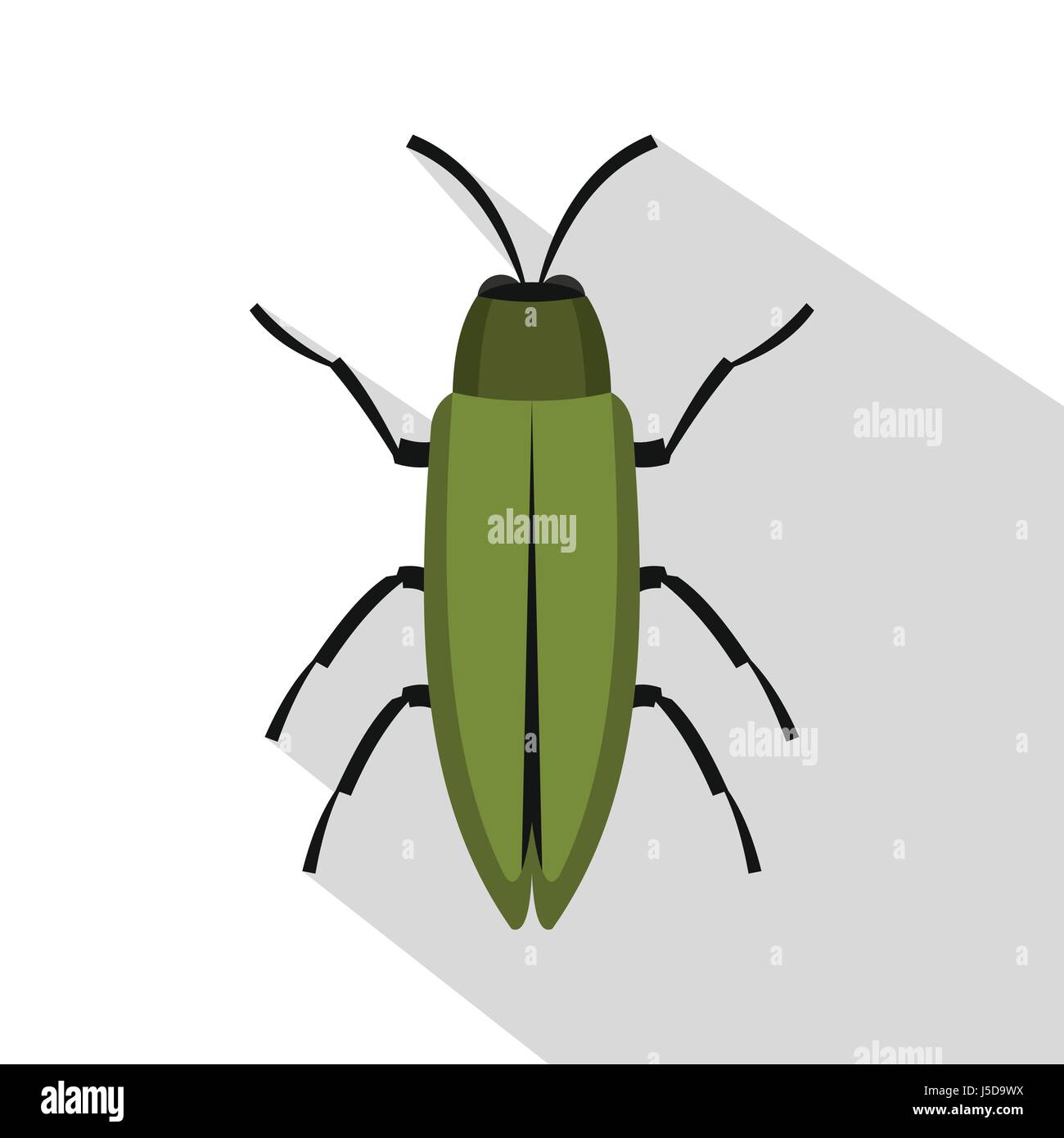 Green beetle icon. Flat illustration of green beetle vector icon for ...