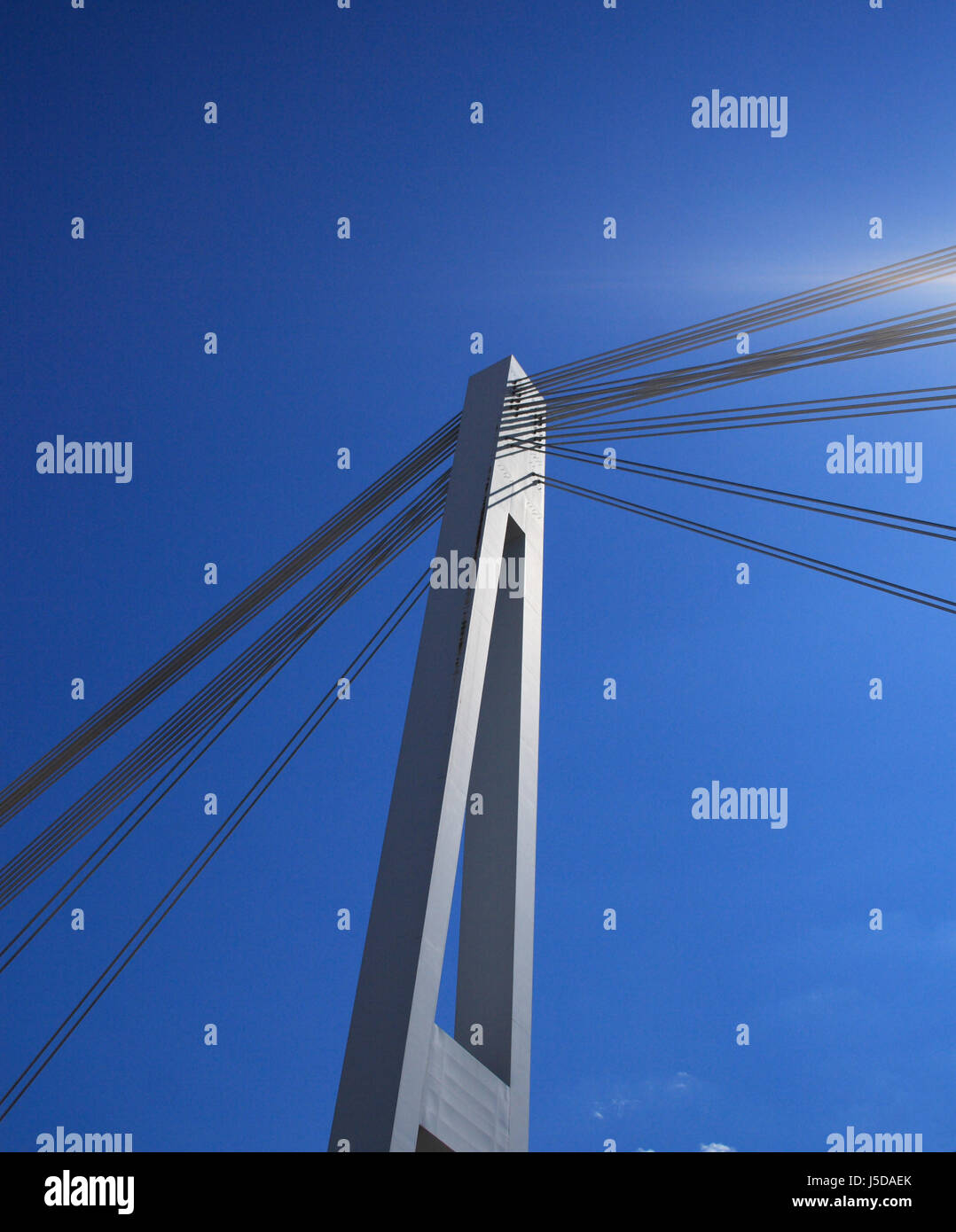 the bridge cables Stock Photo - Alamy