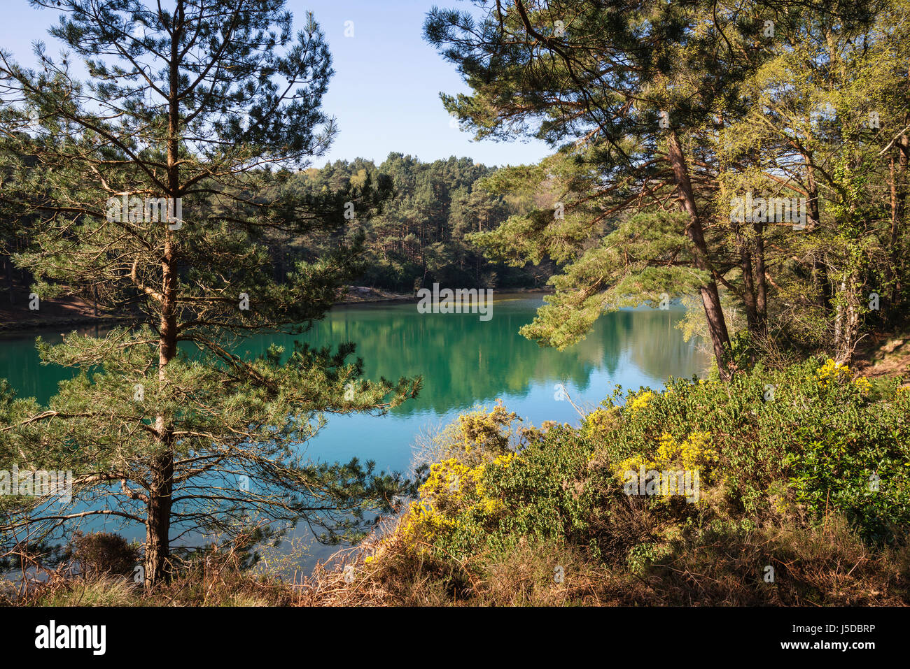 Beautiful landscape image of old clay pit quarry lake with unusual ...