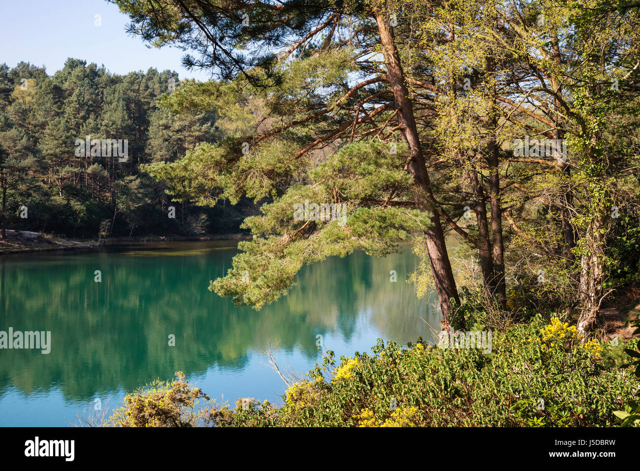 Beautiful landscape image of old clay pit quarry lake with unusual ...