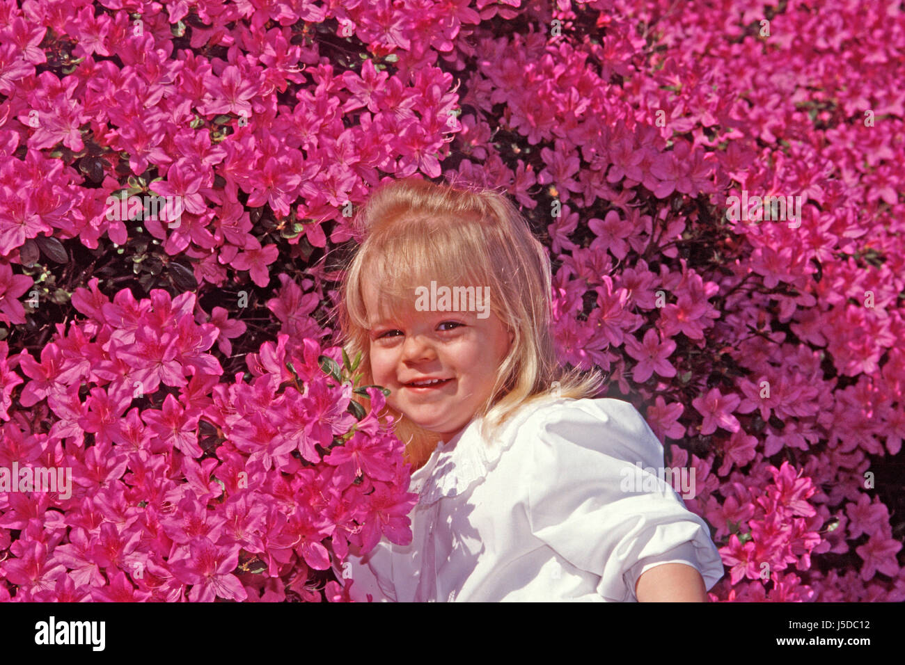 Finally back hi-res stock photography and images - Alamy