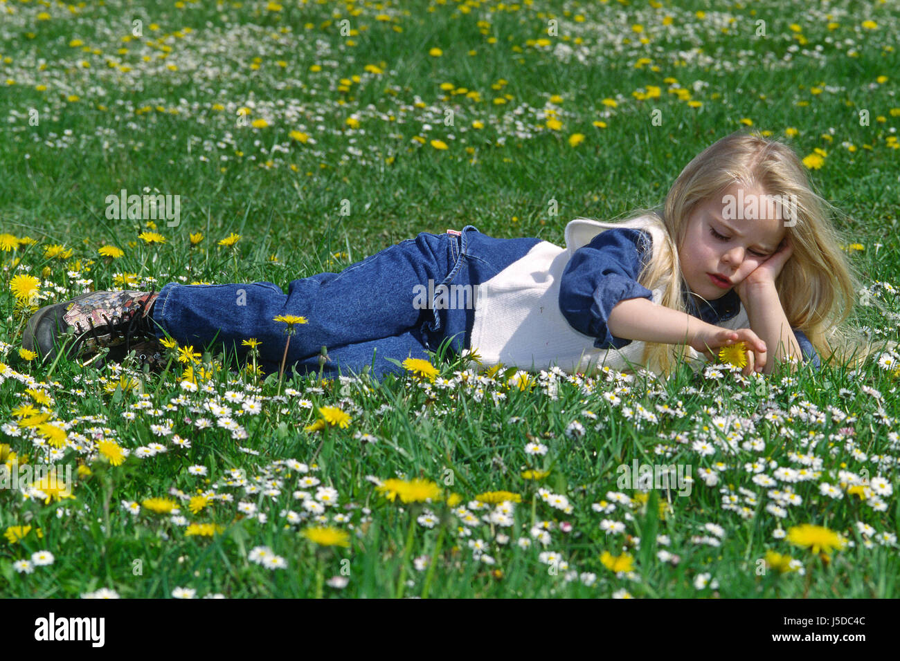 flower flowers plant lie lying lies spring boredom bored meadow child ...