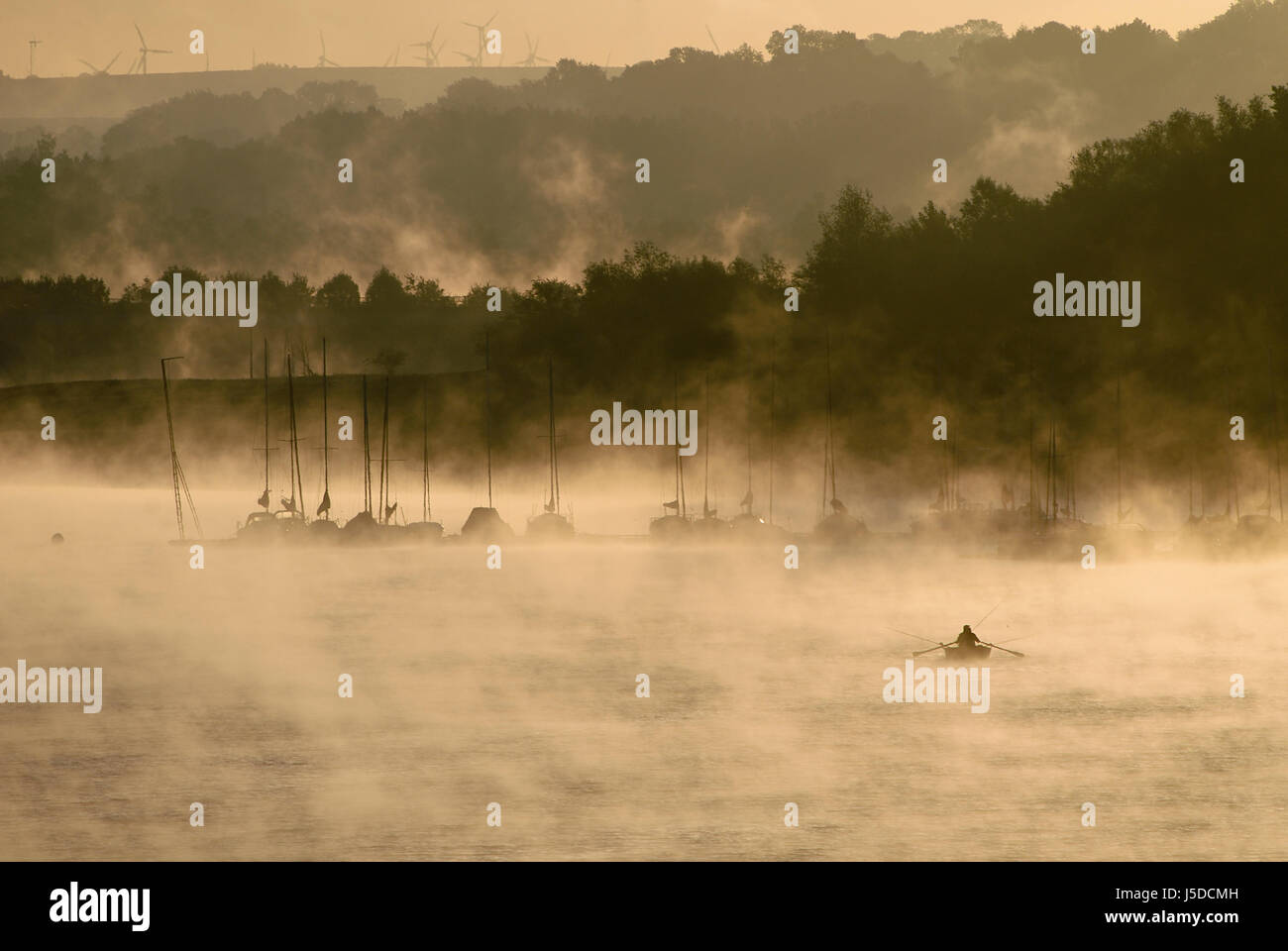 fog mood radio silence quietness silence angle fish counter-light ...