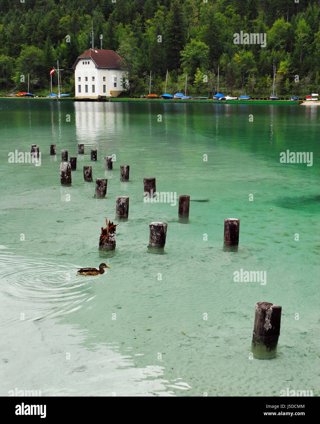Am plansee hi-res stock photography and images - Alamy