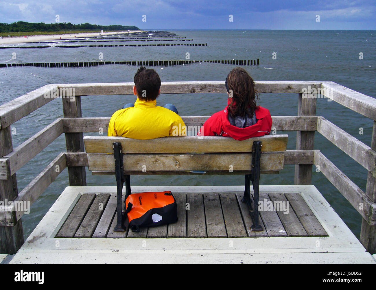 woman humans human beings people folk persons human human being tree ...