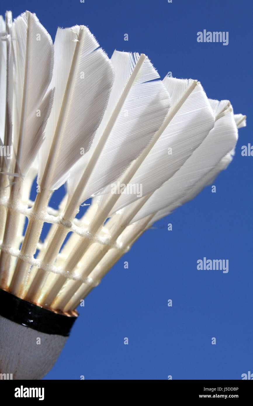 Shuttlecock with feathers hi-res stock photography and images - Alamy