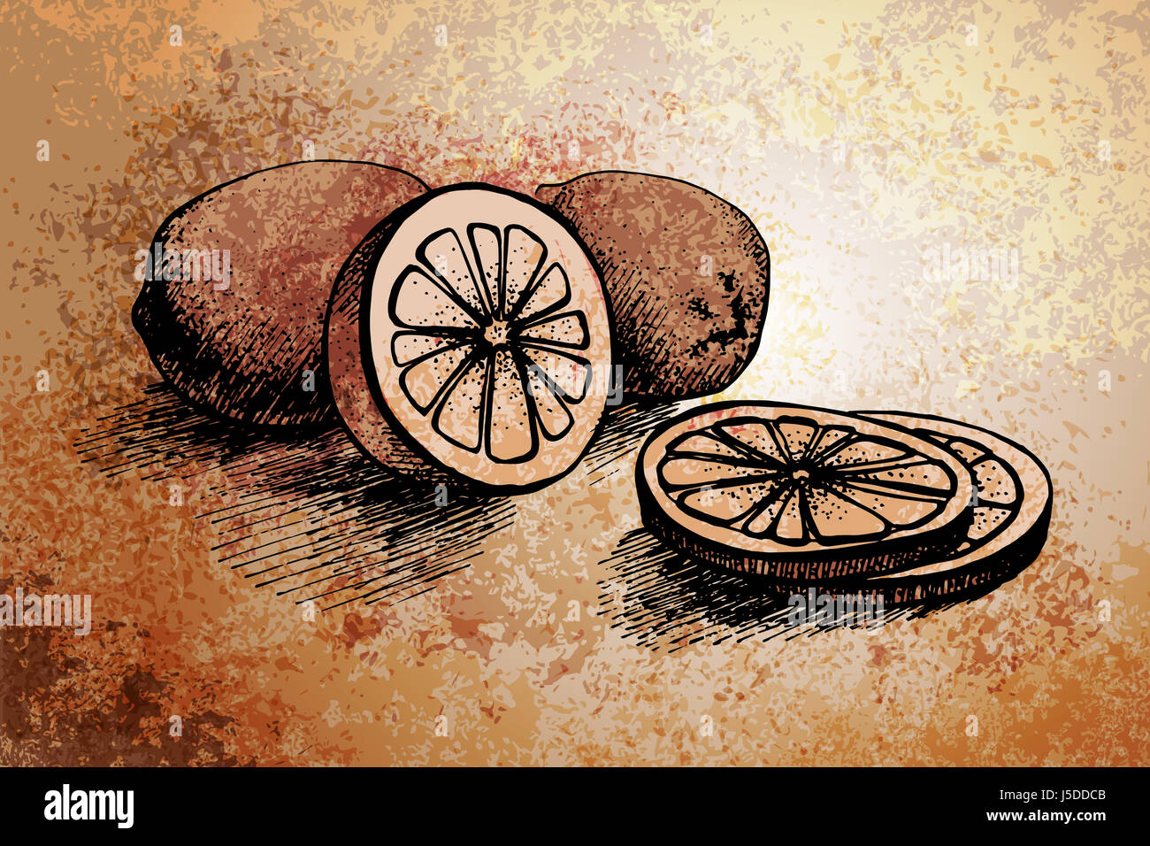 Lemon sketch hi-res stock photography and images - Alamy