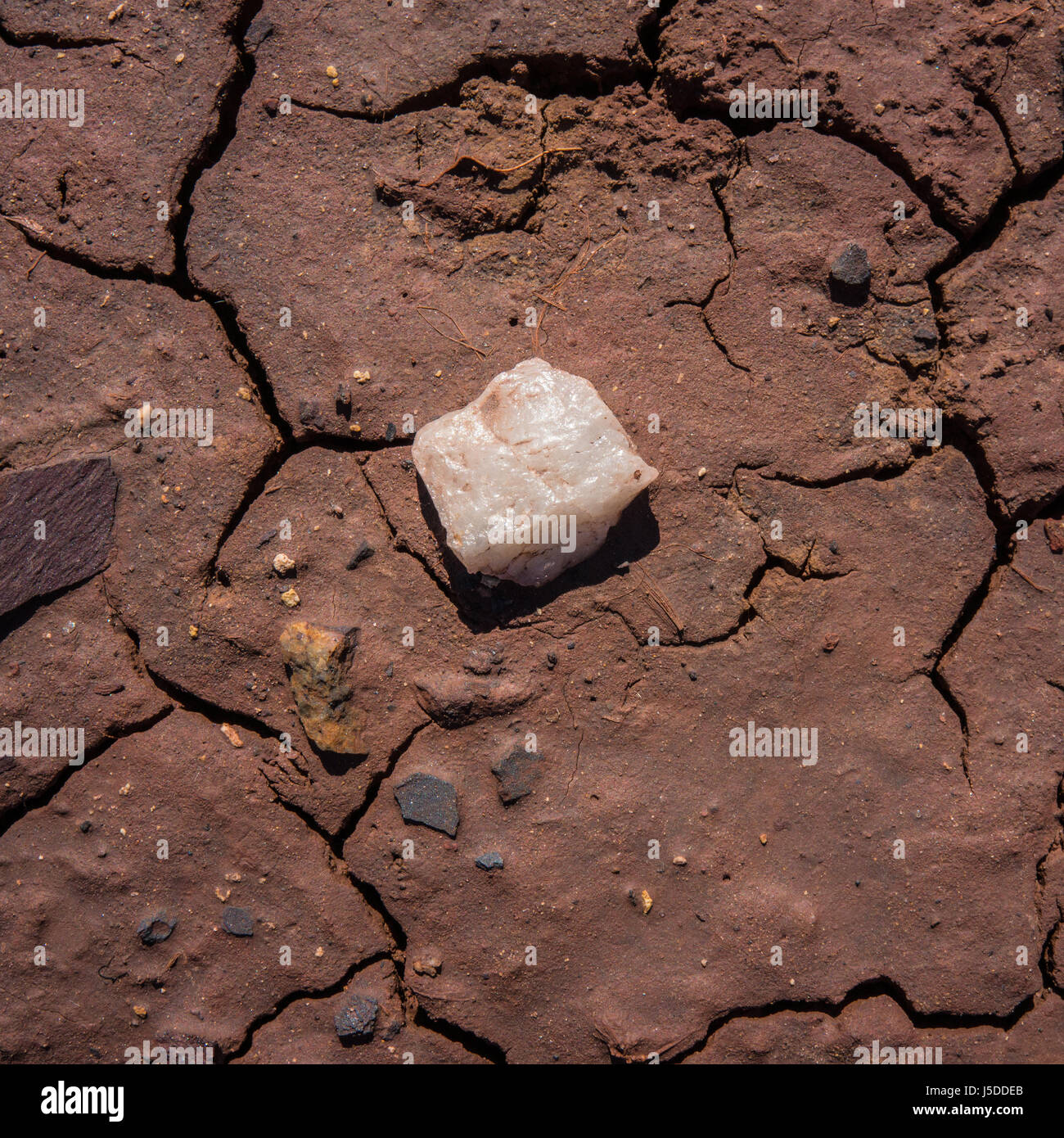 Fissured soil in the area of discharge of industrial waters and a stone ...