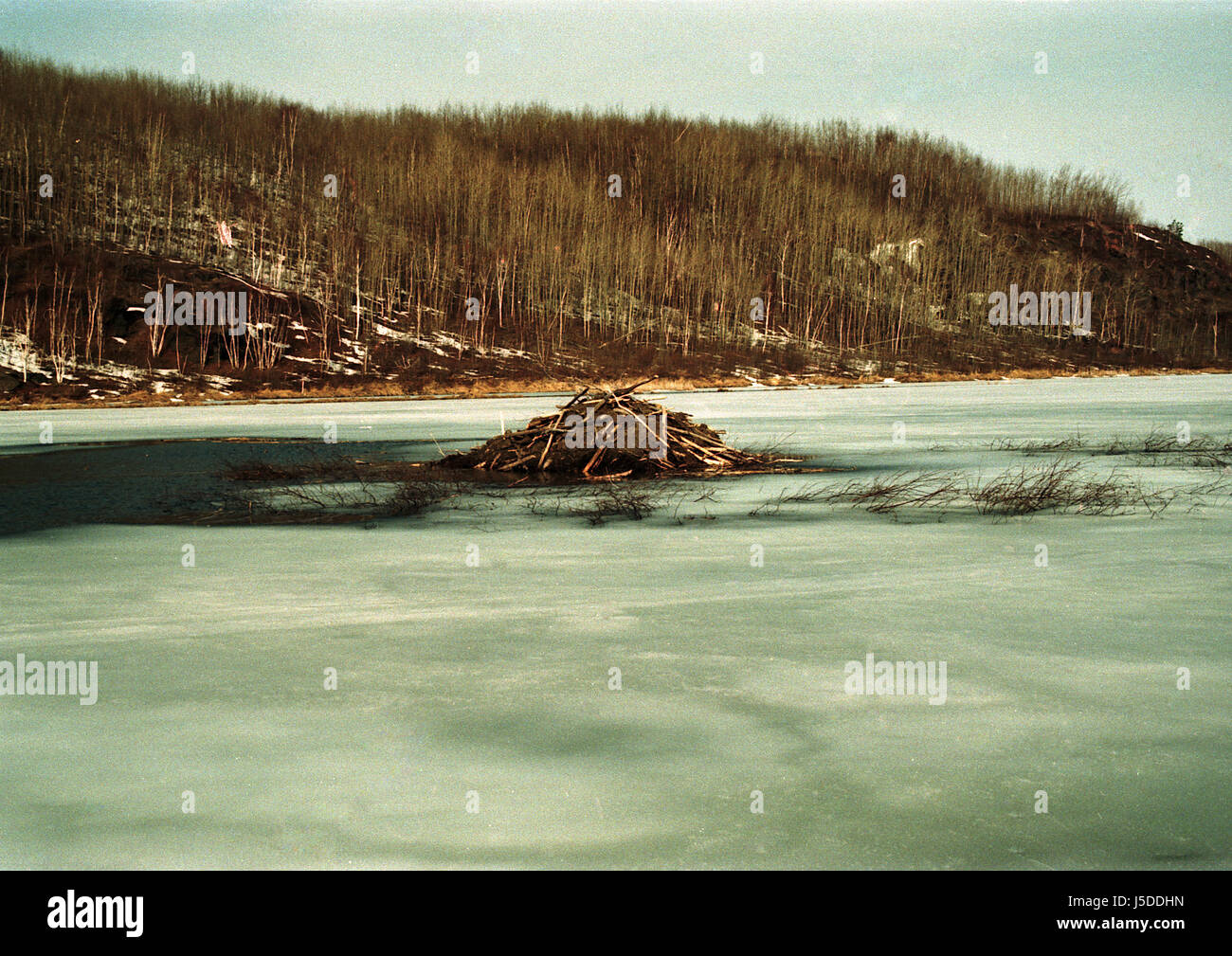 Biberbau hi-res stock photography and images - Alamy