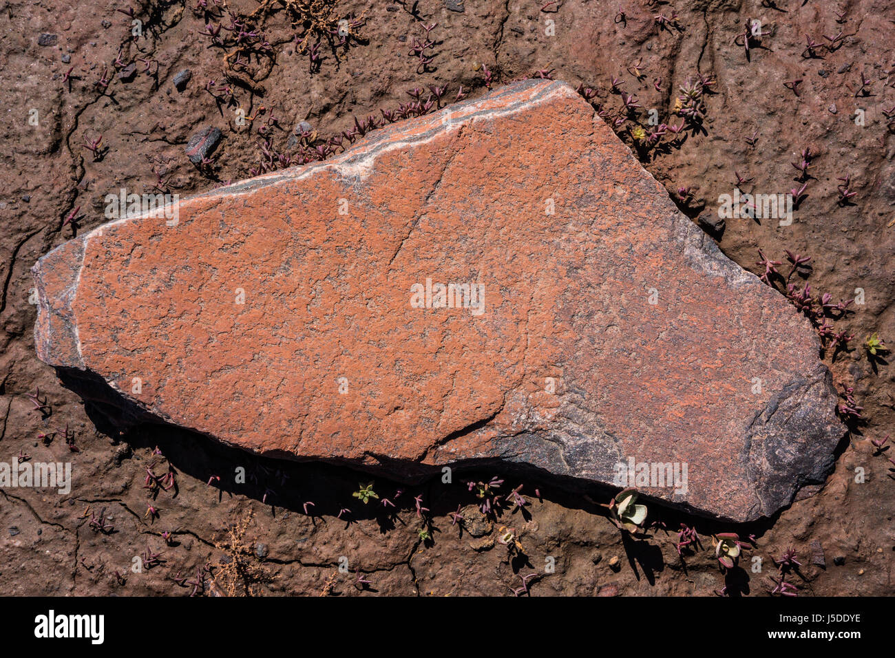Stones of quartzite lie on the polluted earth Stock Photo - Alamy