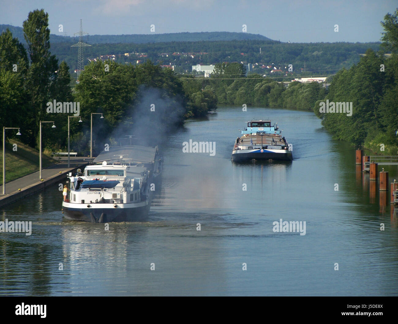 Evasive hi-res stock photography and images - Alamy