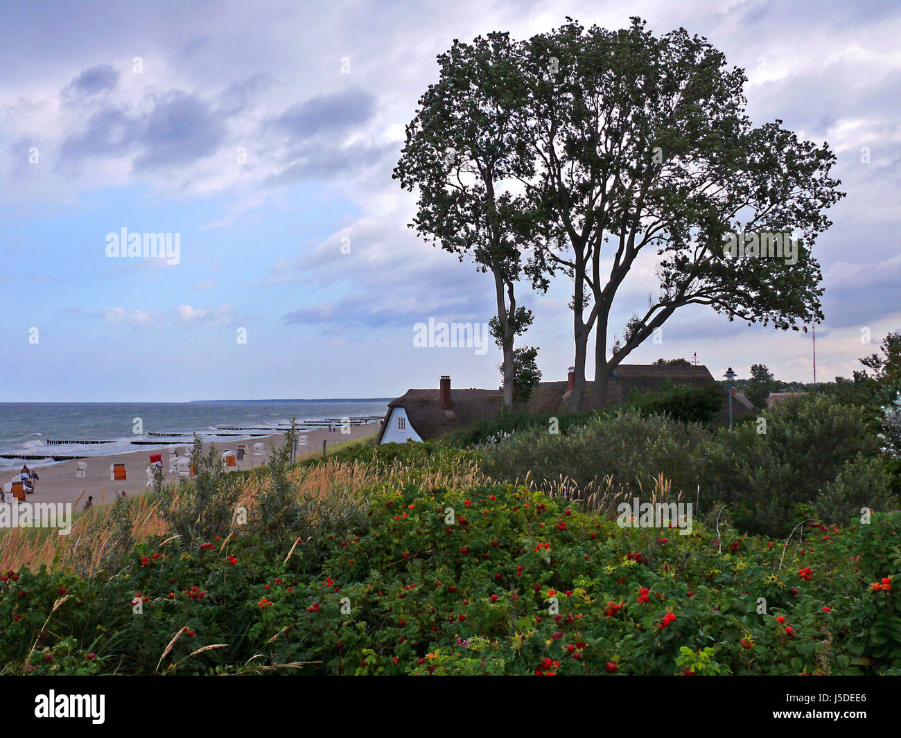 Darland hi-res stock photography and images - Alamy