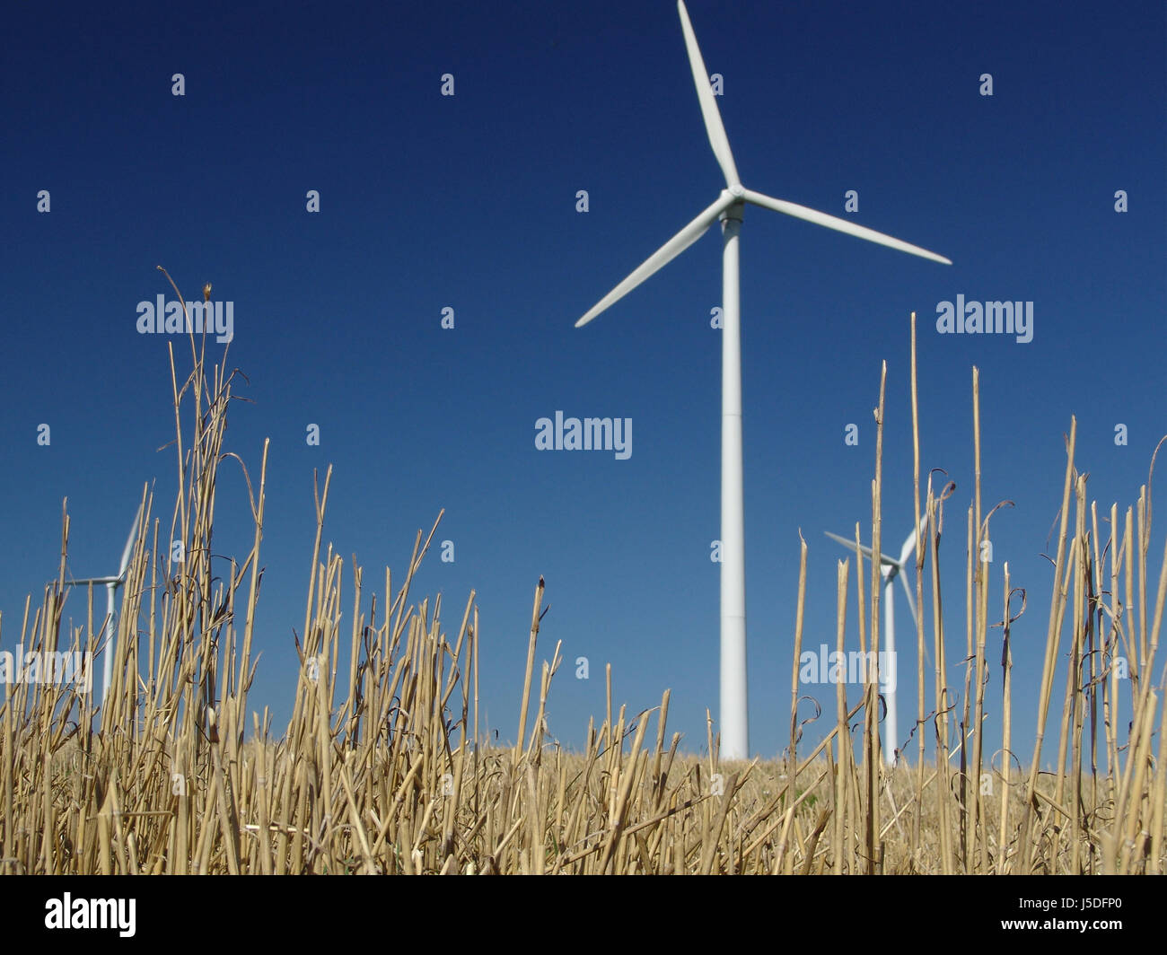 blue shine shines bright lucent light serene luminous environment ...