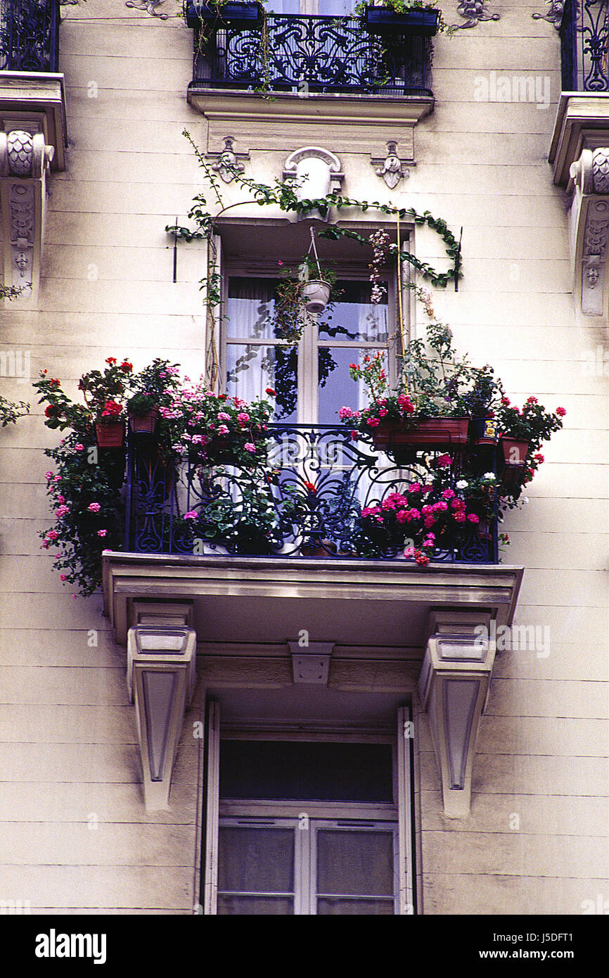 window porthole dormer window pane flower flowers plant france nice ...