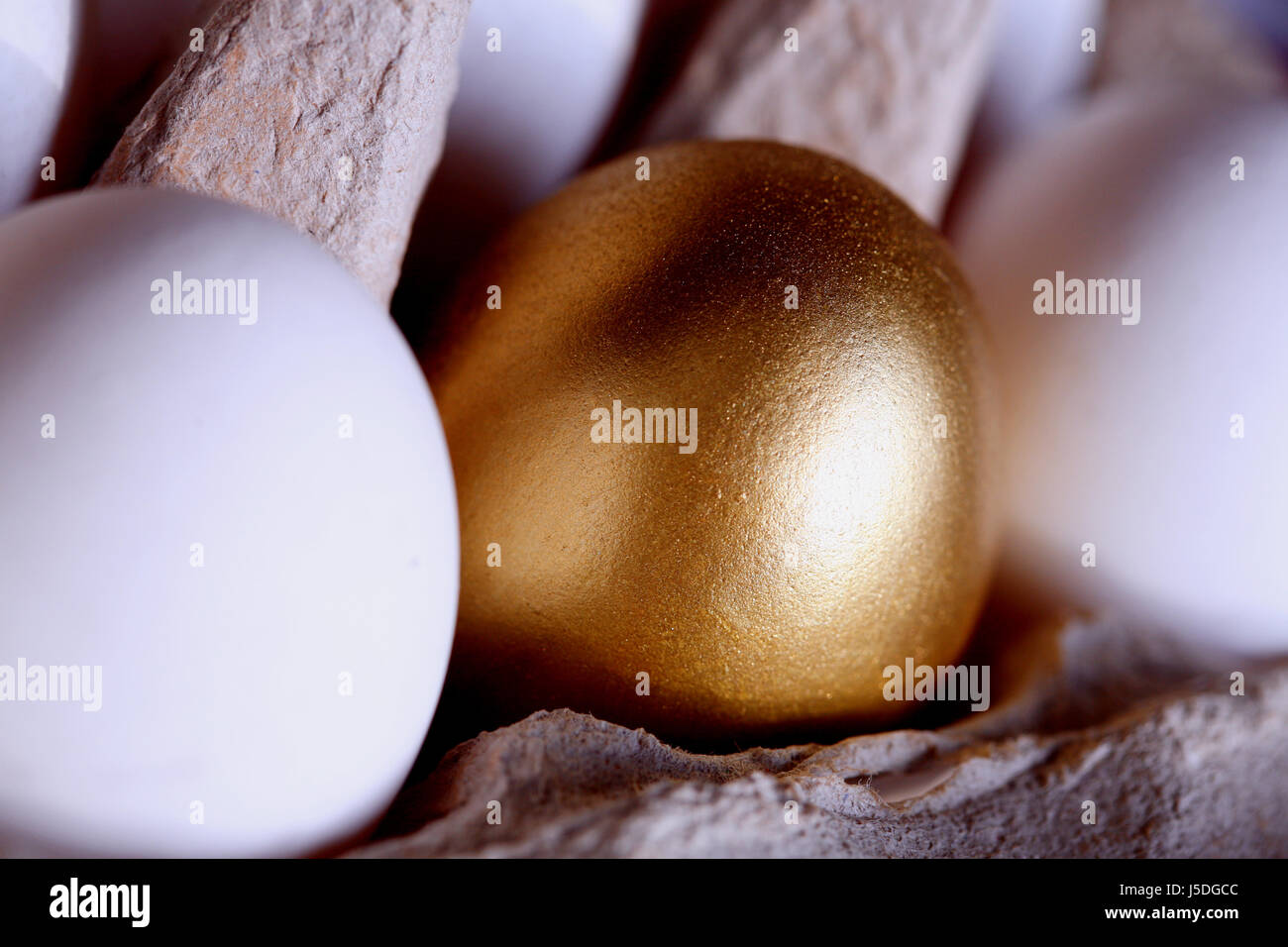 Ei des kolumbus hi-res stock photography and images - Alamy