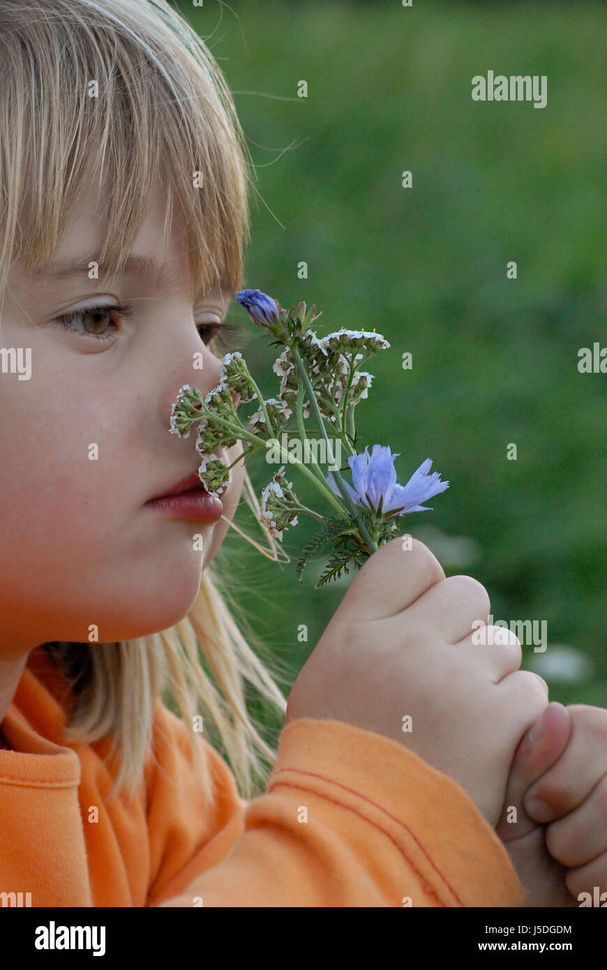 Children smell nose hi-res stock photography and images - Alamy