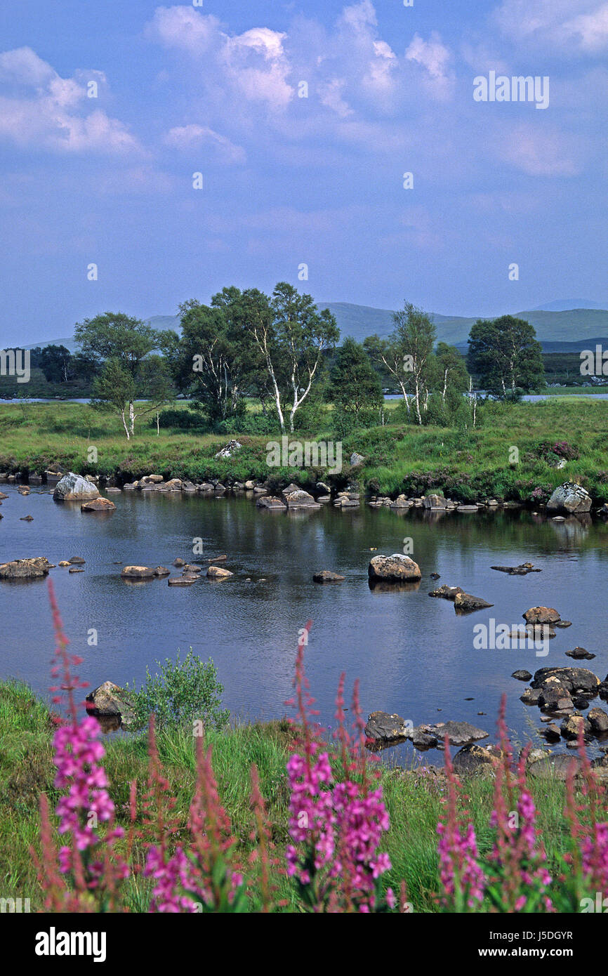 scotland landscape scenery countryside nature salt water sea ocean ...