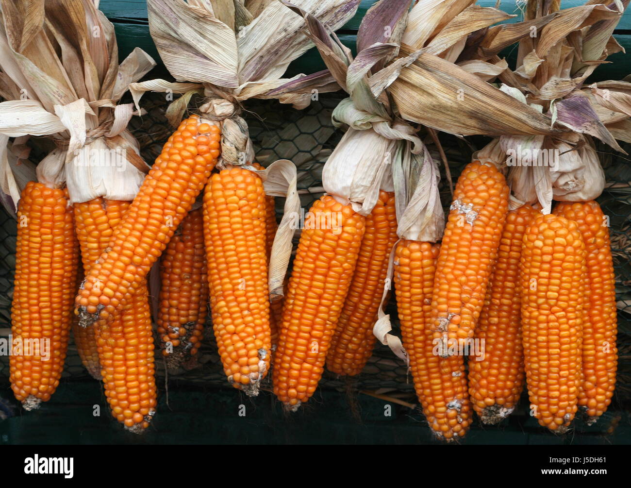 Erntefest High Resolution Stock Photography and Images - Alamy