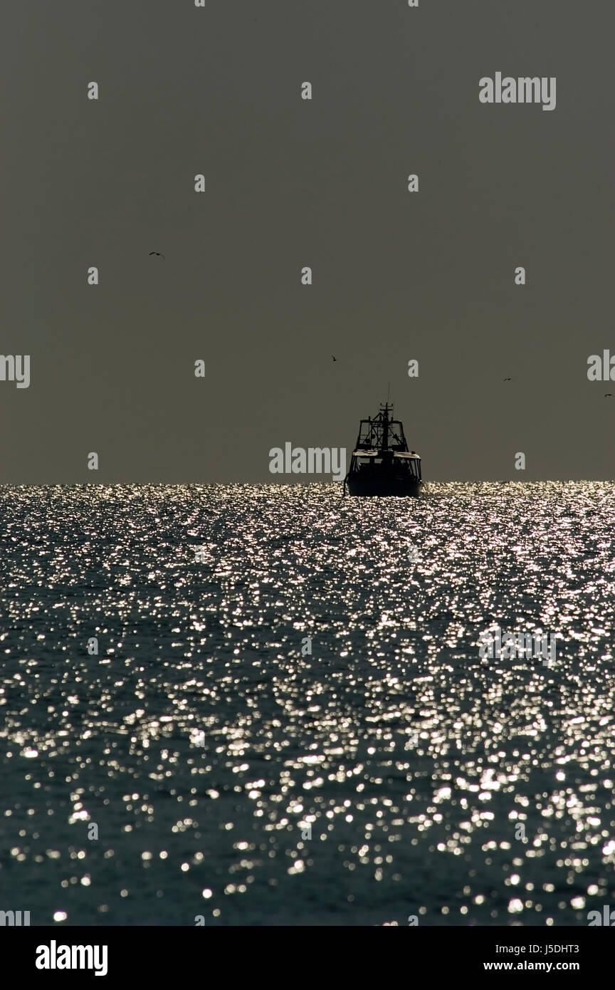 ships sailing boat sailboat rowing boat boat watercraft angle fish ...