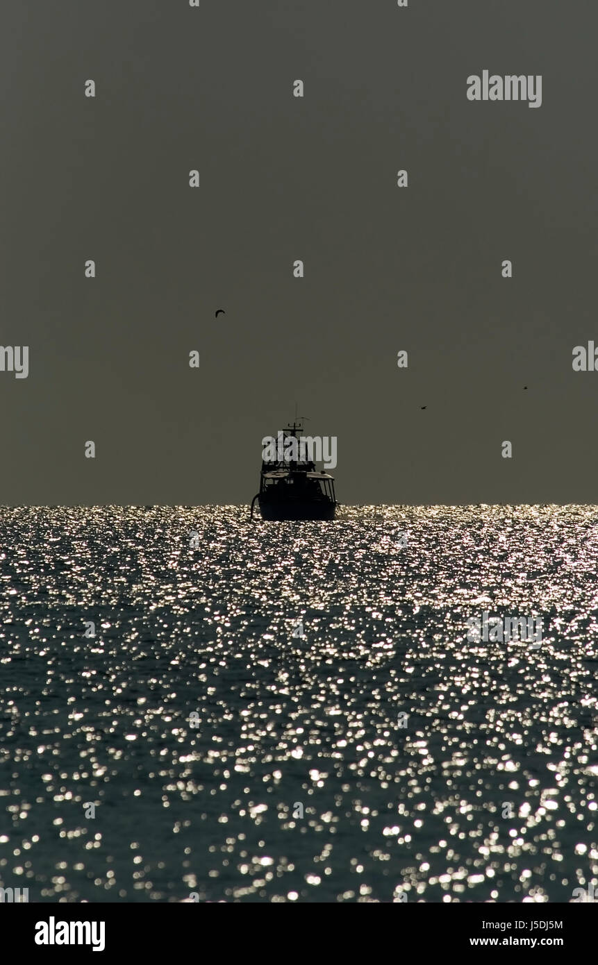ships sailing boat sailboat rowing boat boat watercraft angle fish ...