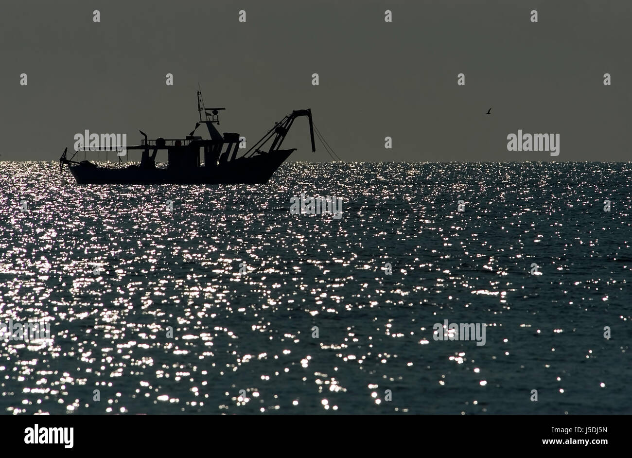 ships sailing boat sailboat rowing boat boat watercraft angle fish ...