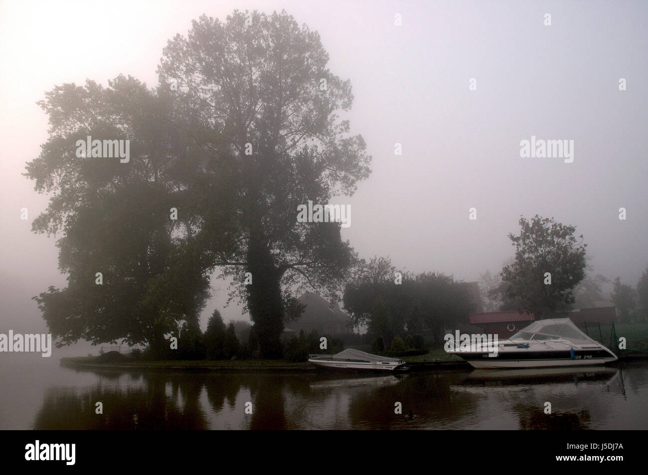 tree ships sailing boat sailboat rowing boat boat watercraft maritime ...