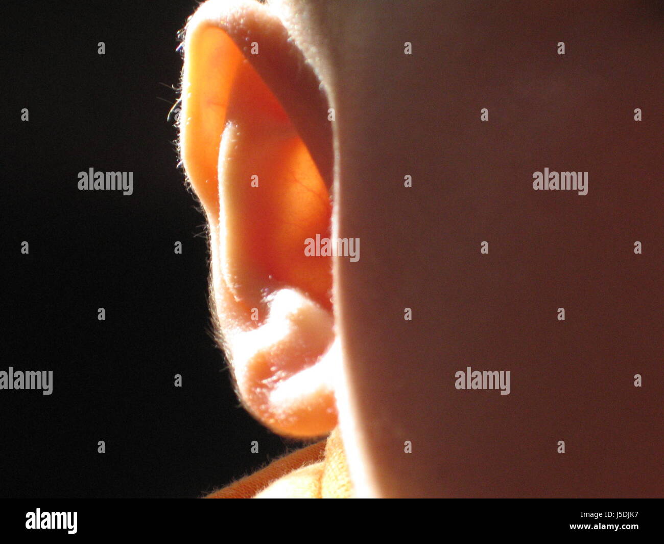 Ear fine hi-res stock photography and images - Alamy