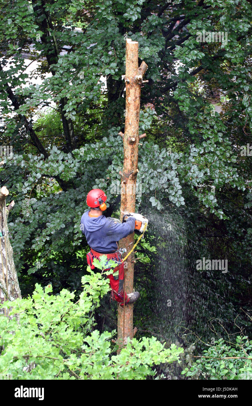 craftsman tradesman handicraftsman saw rise climb climbing ascend ...
