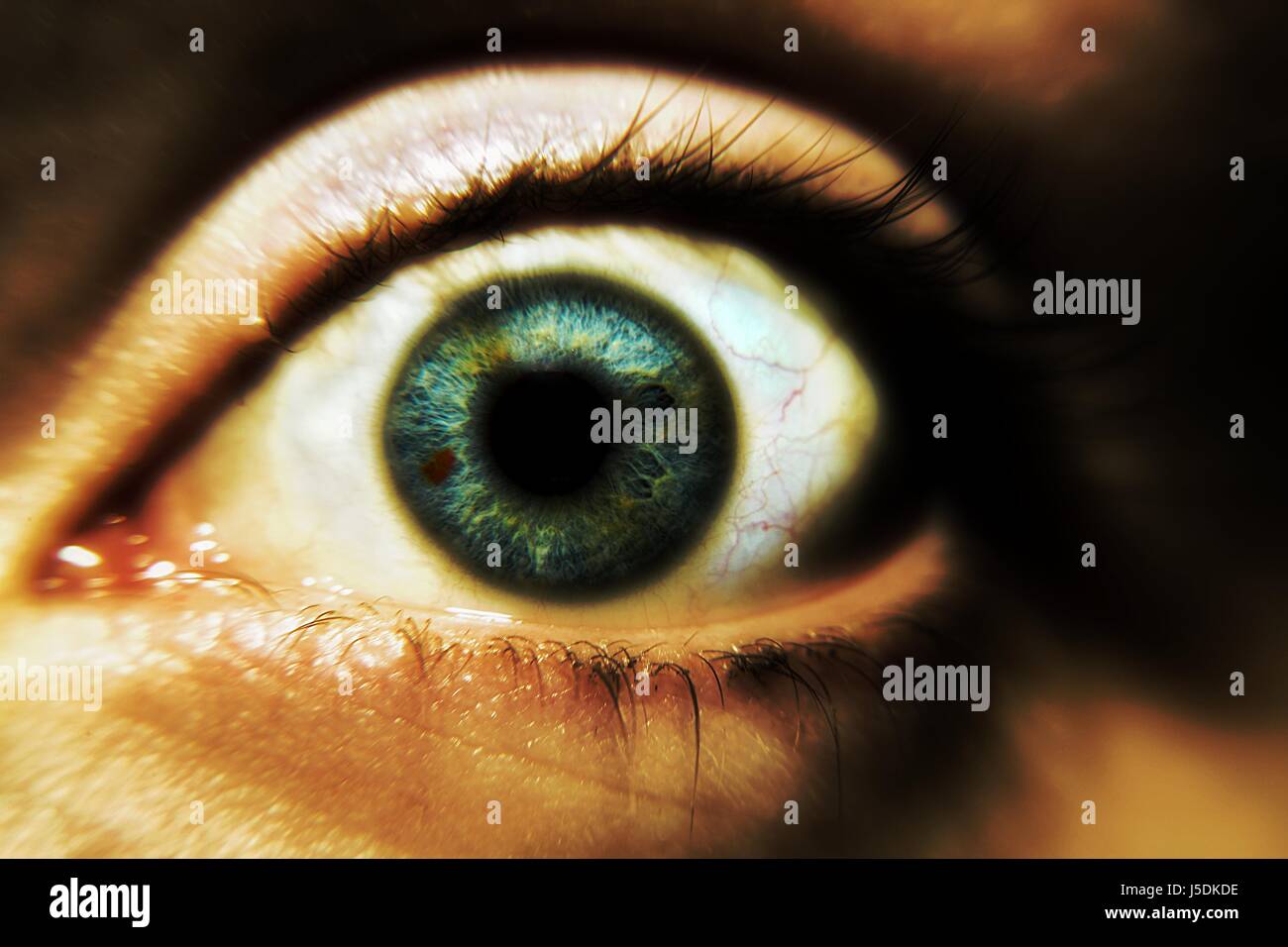 Saturday the 14th poster hi-res stock photography and images - Alamy