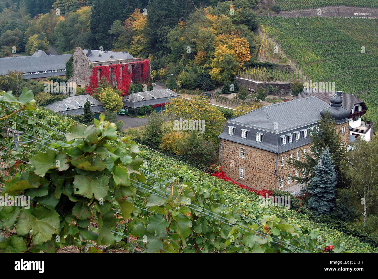 marienthal in the ahr Stock Photo - Alamy