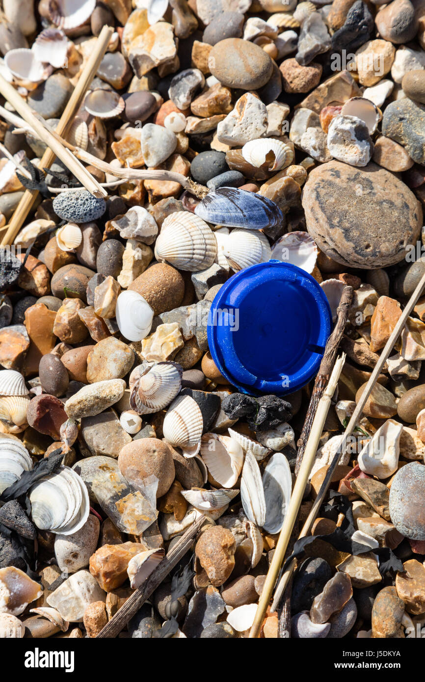 A blue plastic cap on the beach at Grain, amongst the seaweed, shells ...