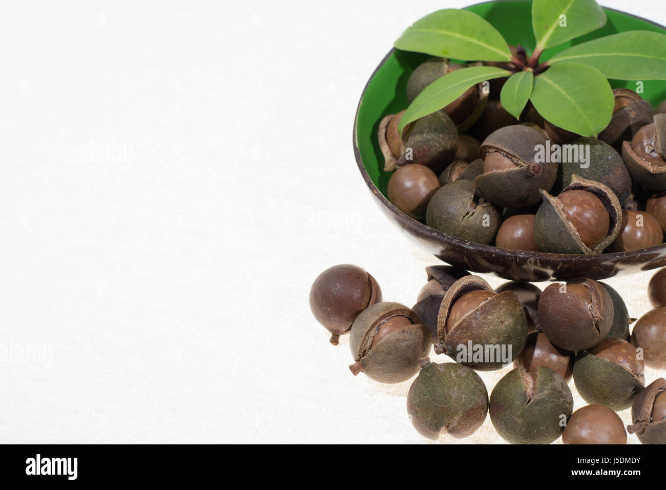 Macadamia nuts in shell, new harvest close up on white background Stock ...