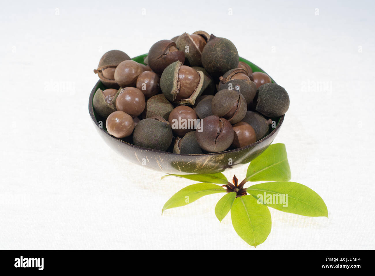 Macadamia nuts in shell, new harvest close up on white background Stock ...