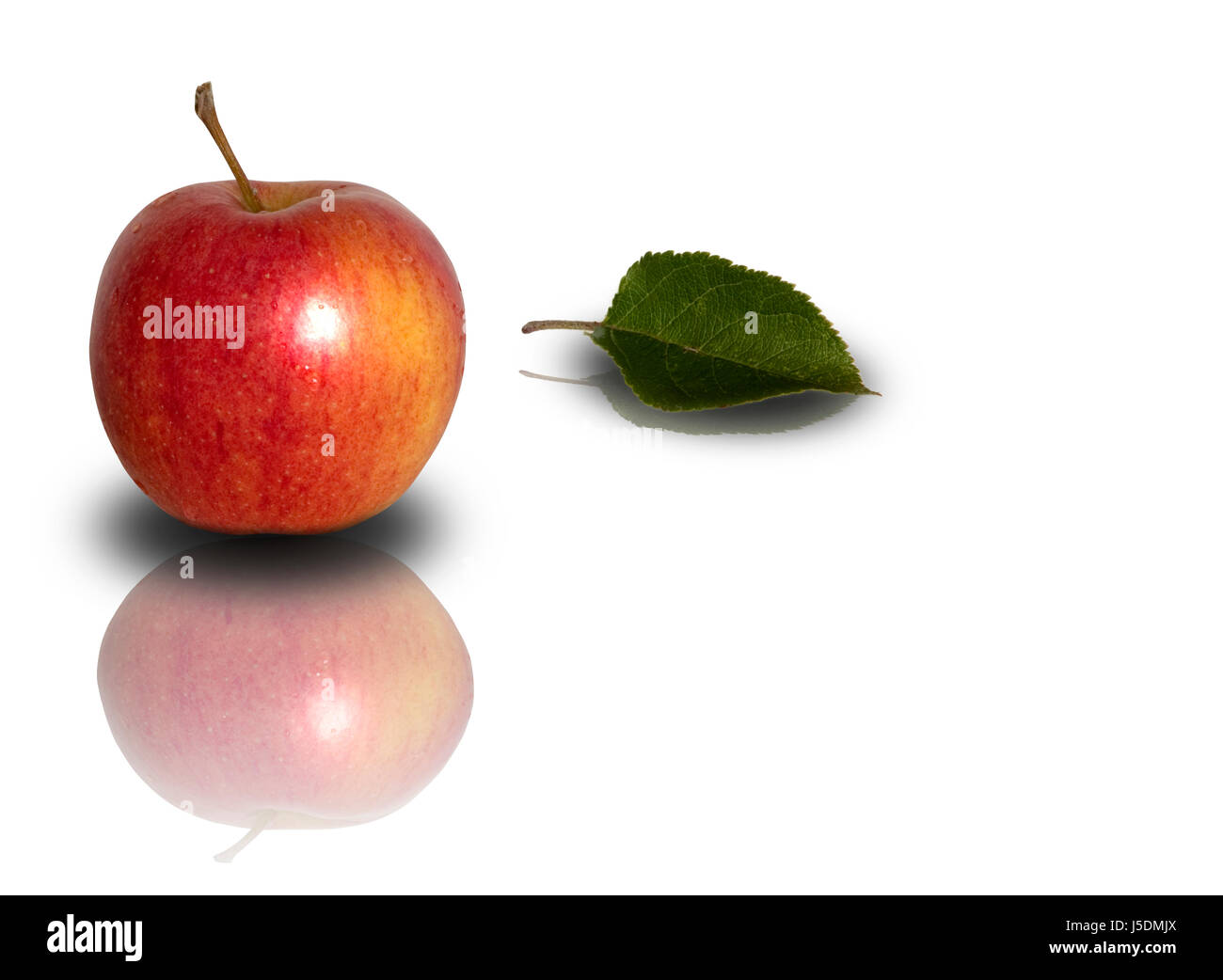 Cider fruit tree Cut Out Stock Images & Pictures - Alamy