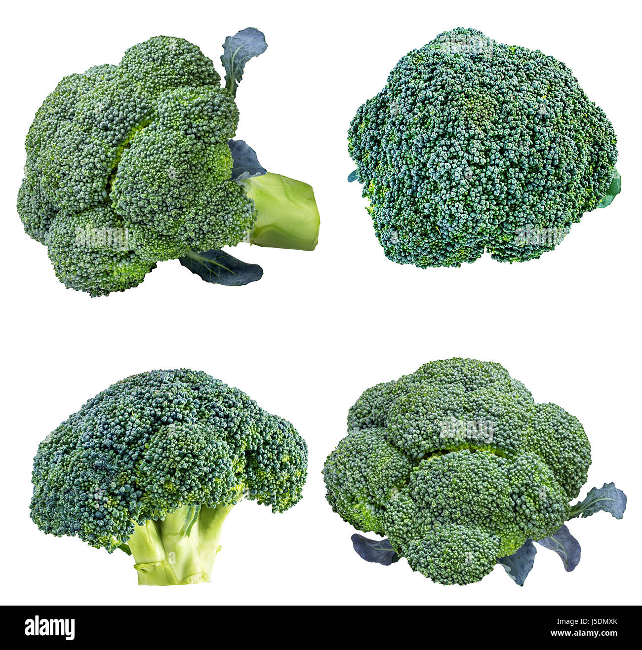 Broccoli isolated on white background Stock Photo - Alamy