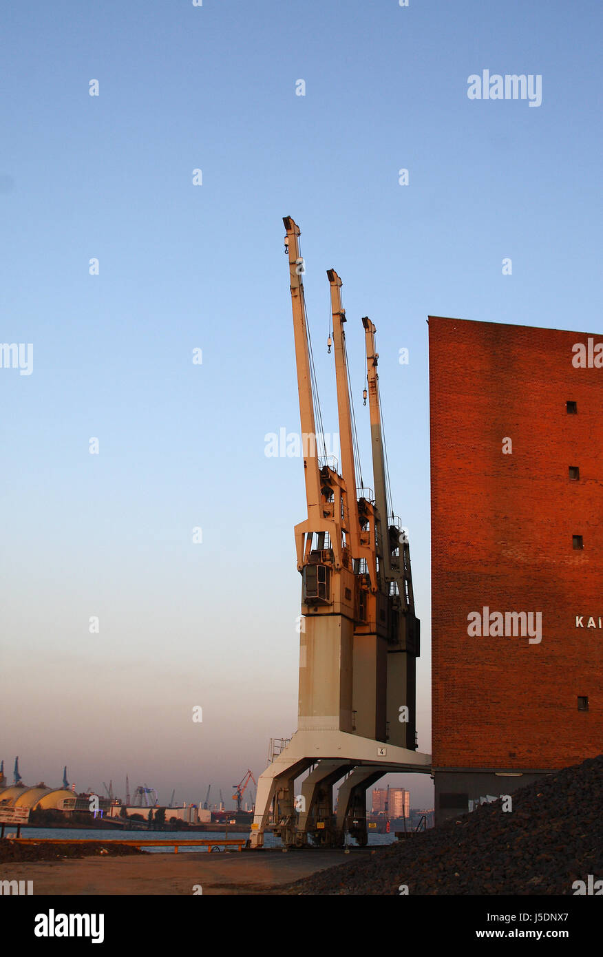 three cranes in the morning Stock Photo - Alamy