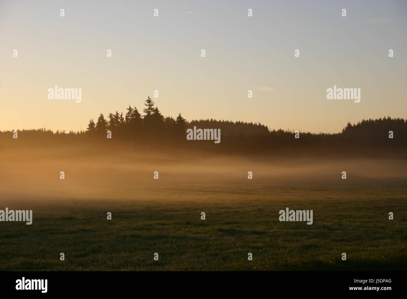 ground fog and sunrise Stock Photo - Alamy