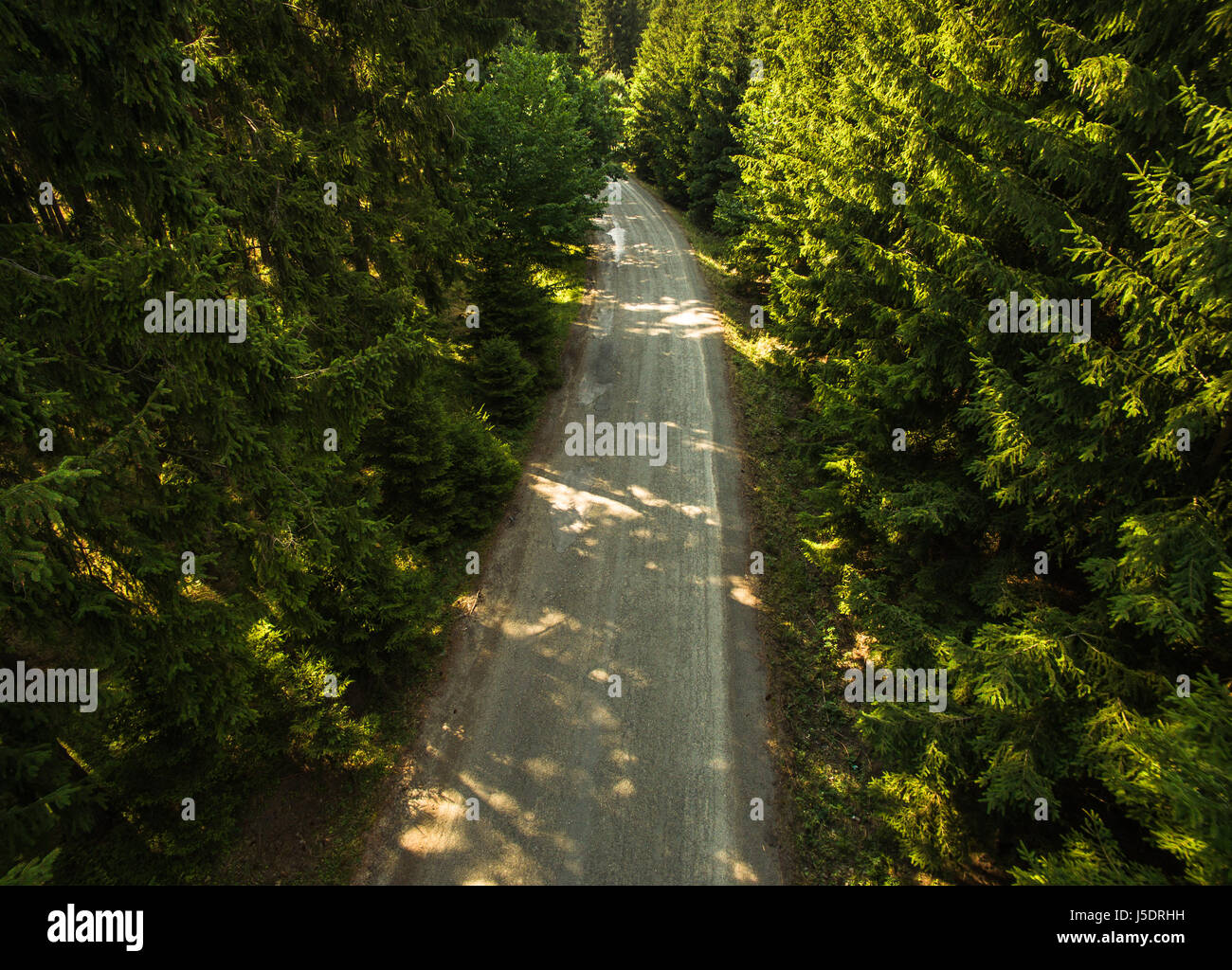Aerial view of a forest road Stock Photo - Alamy