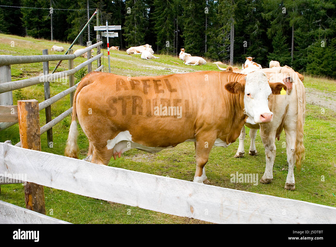 the somewhat different marketing idea Stock Photo - Alamy