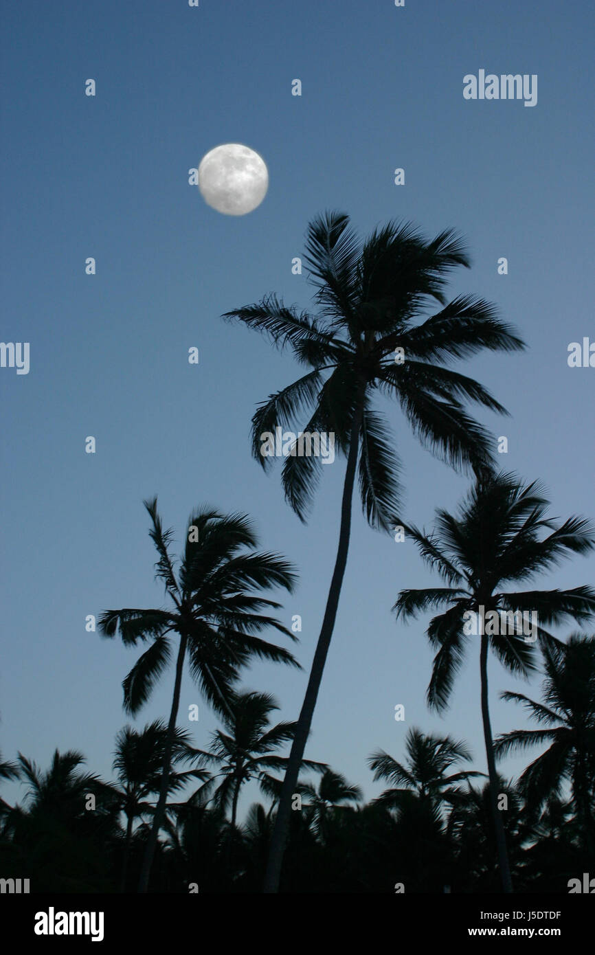 holiday vacation holidays vacations night nighttime beach seaside the ...