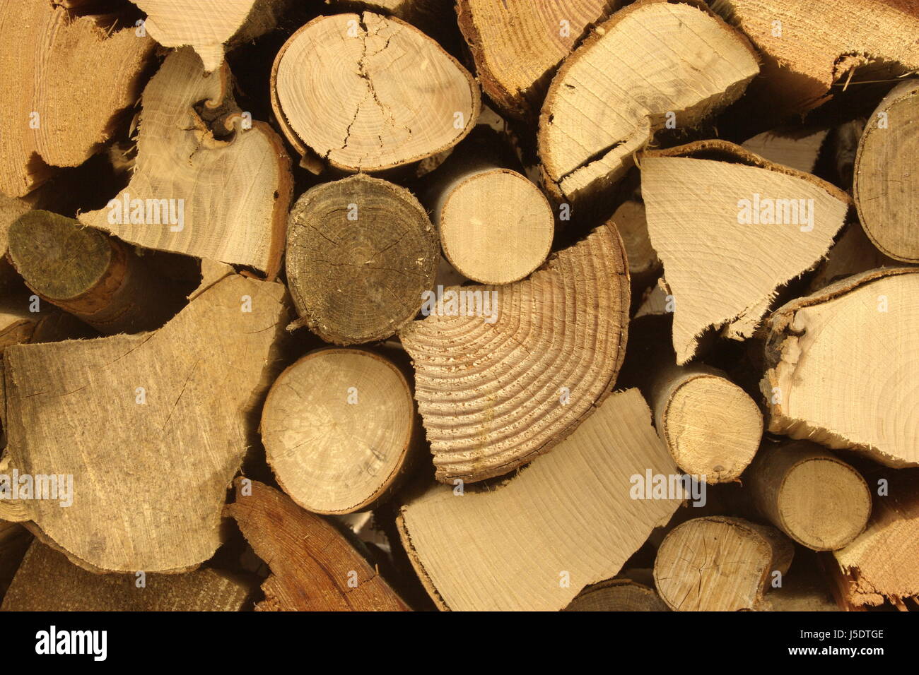 wood raw material fuel alternative birch beech firewood annual rings ...