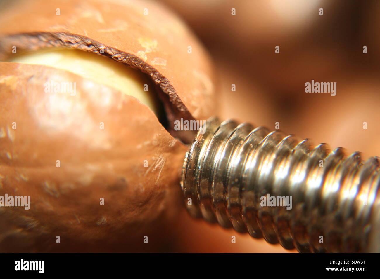 australia iron california south africa nuts bowl nut queen edible ...