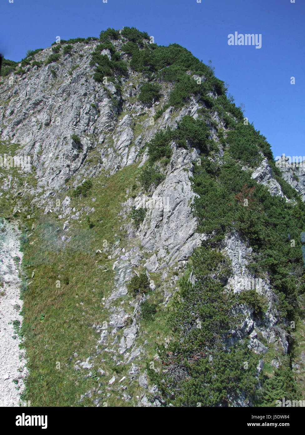 the hochfelln 1 Stock Photo - Alamy
